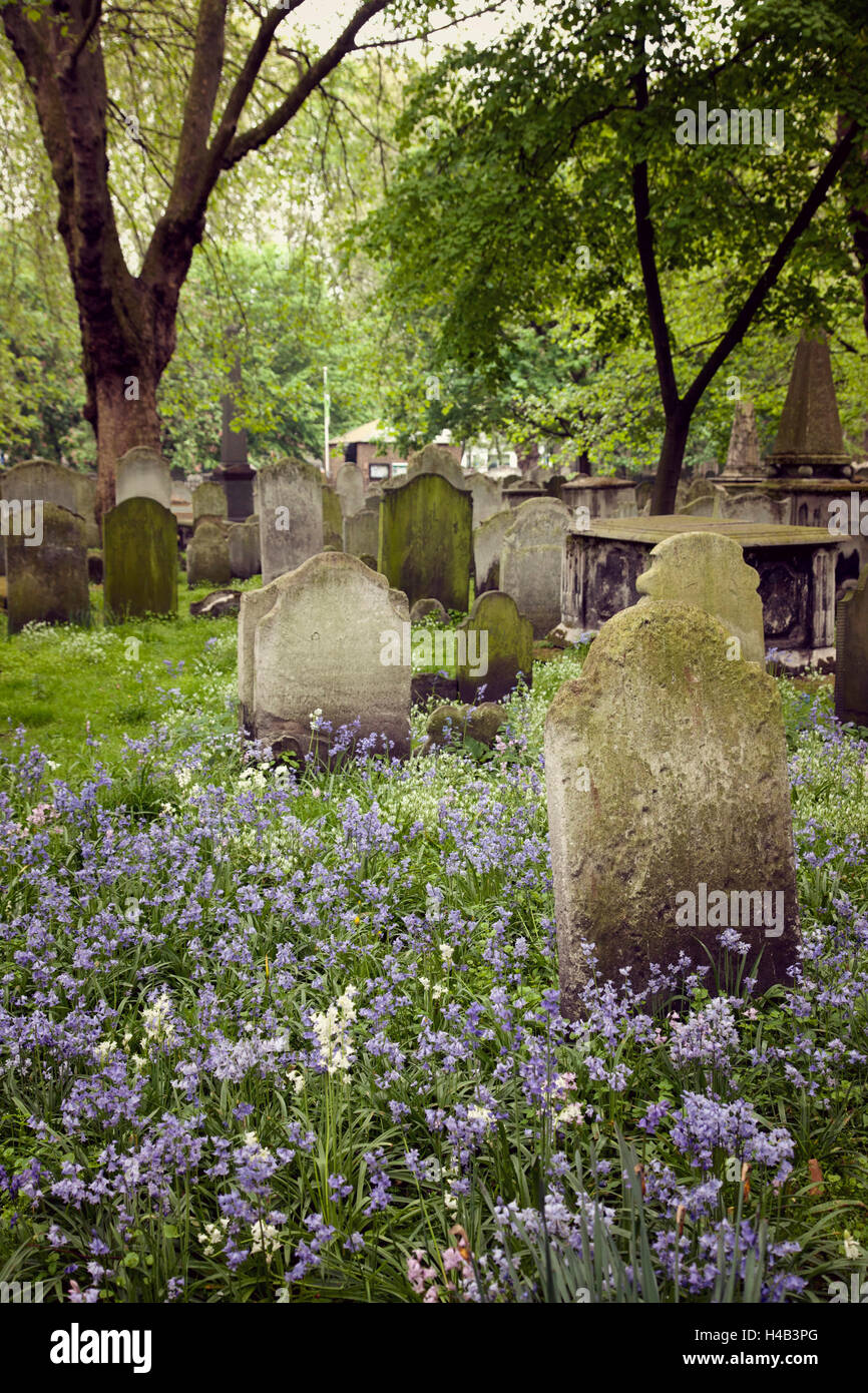 Cemetery, gravestone, trees, inscription Stock Photo - Alamy