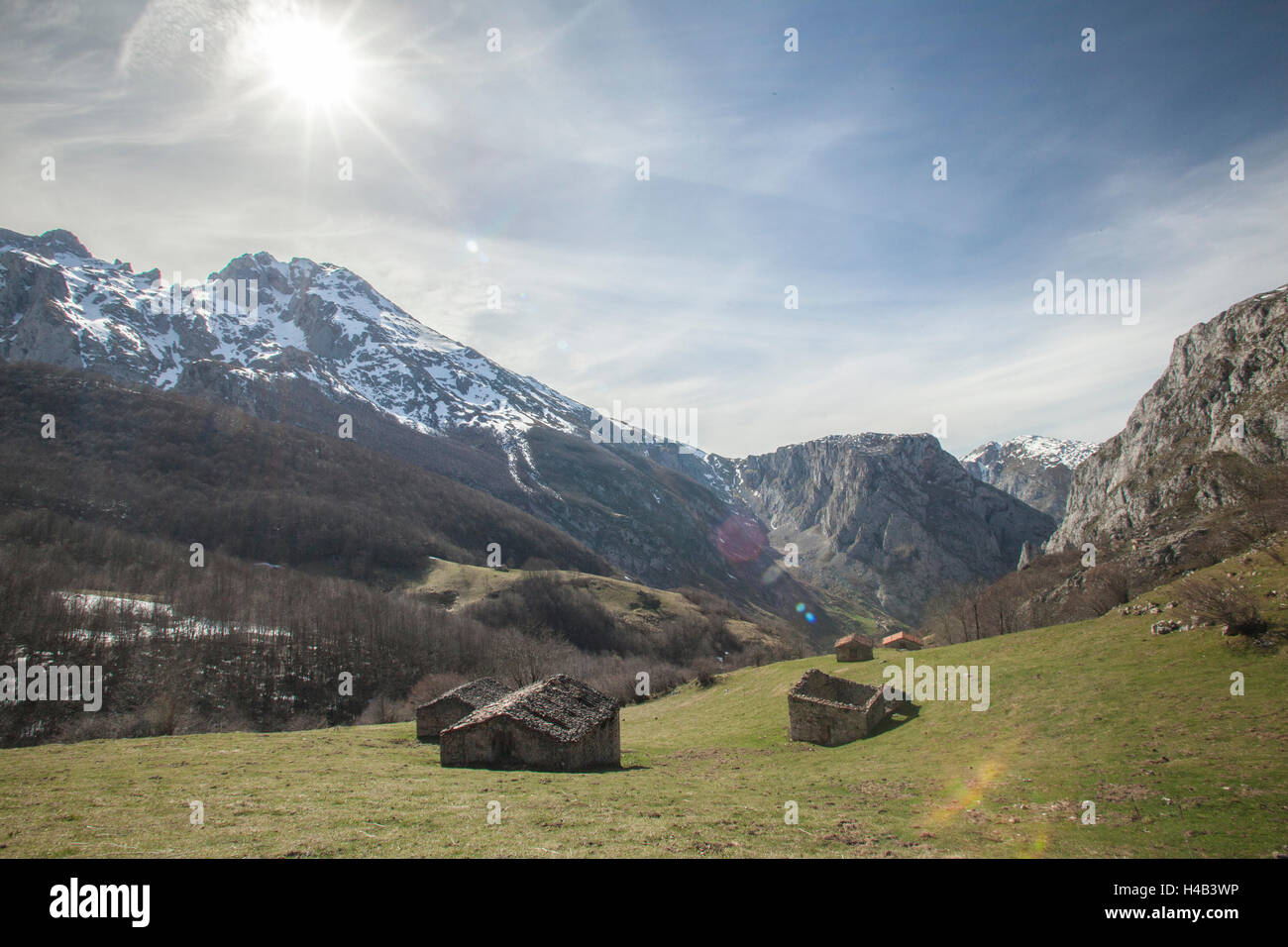 Asturias fauna hi-res stock photography and images - Alamy