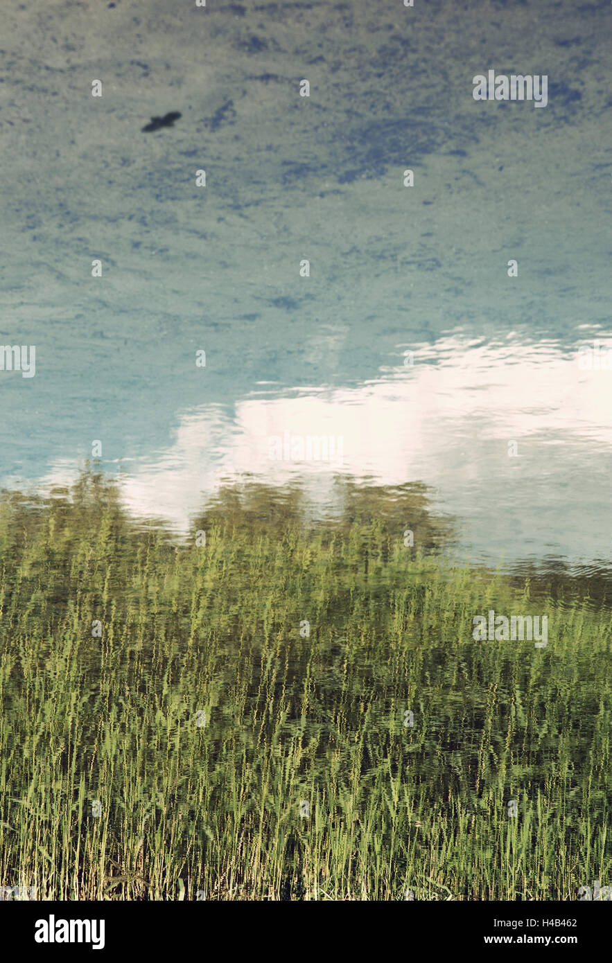 Lake, nature, water, reflection, landscape Stock Photo - Alamy