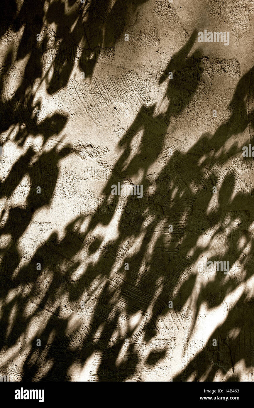 Shadow, plants, wall, abstract Stock Photo - Alamy