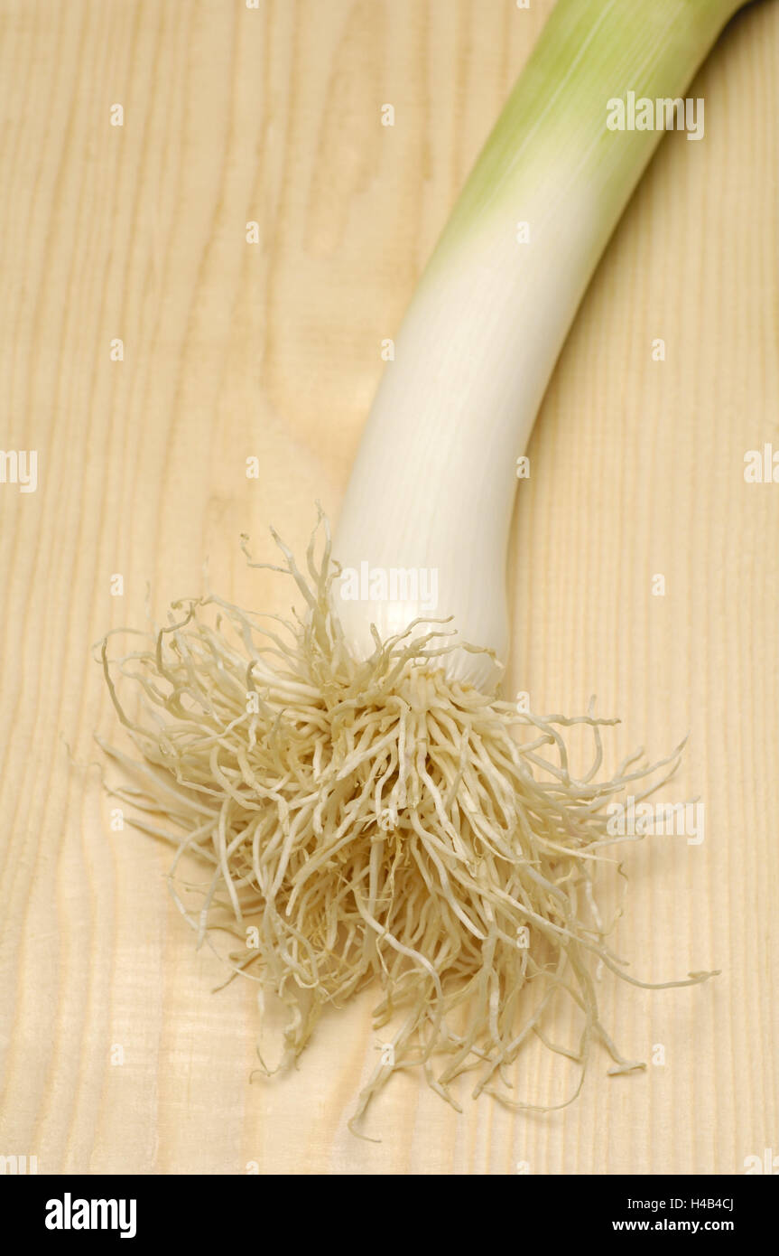 Leek, detail, roots Stock Photo - Alamy