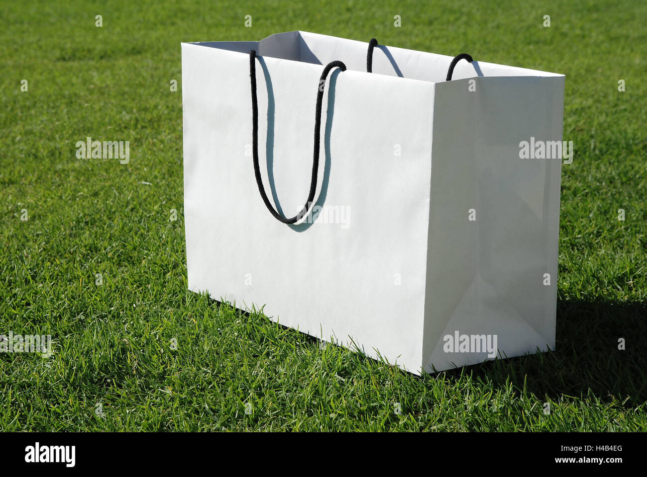 Bag, purchasing bag, meadow, park, grass, turf, green area, outside ...