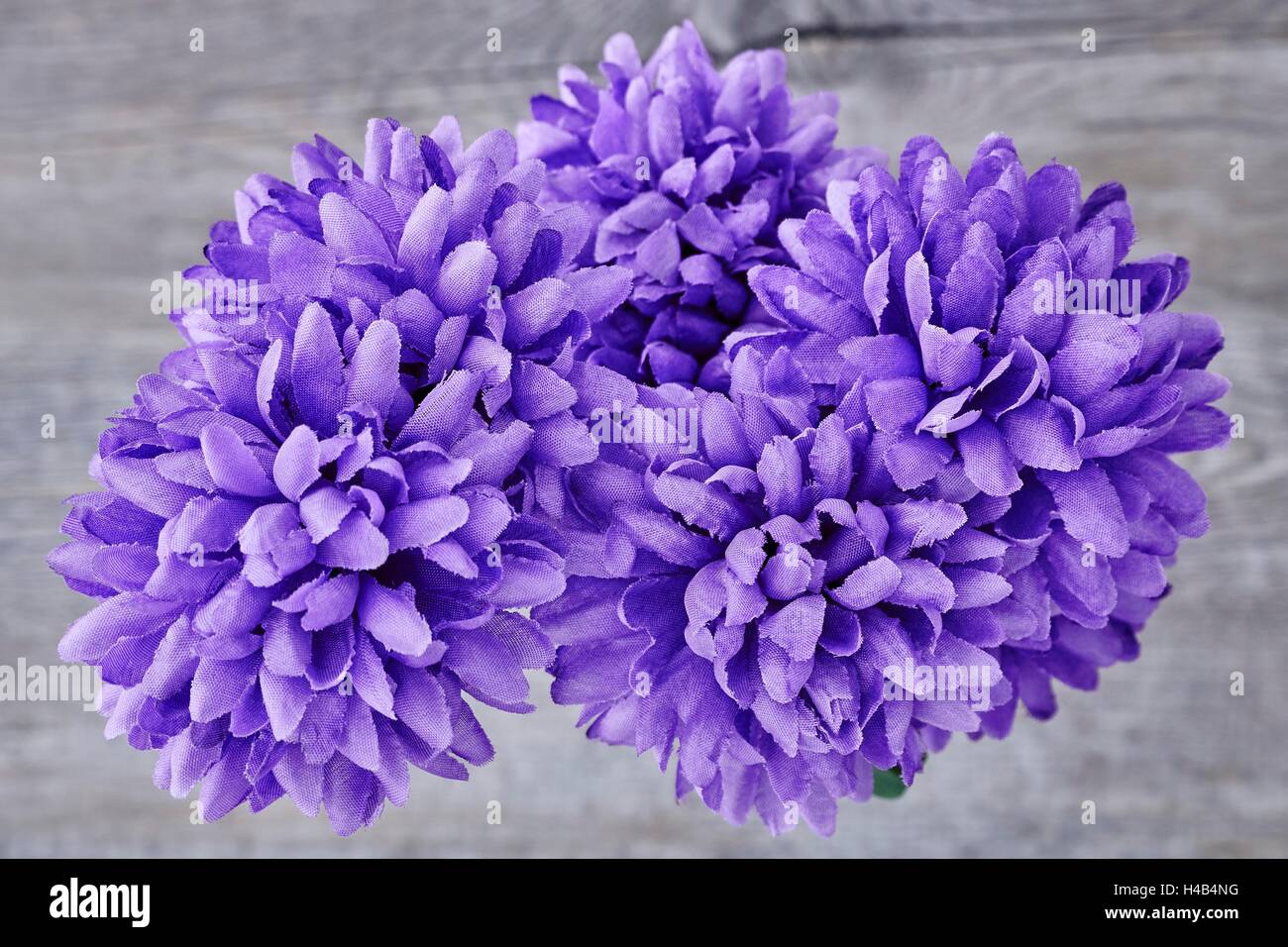 A studio photo of plastic display flowers Stock Photo - Alamy