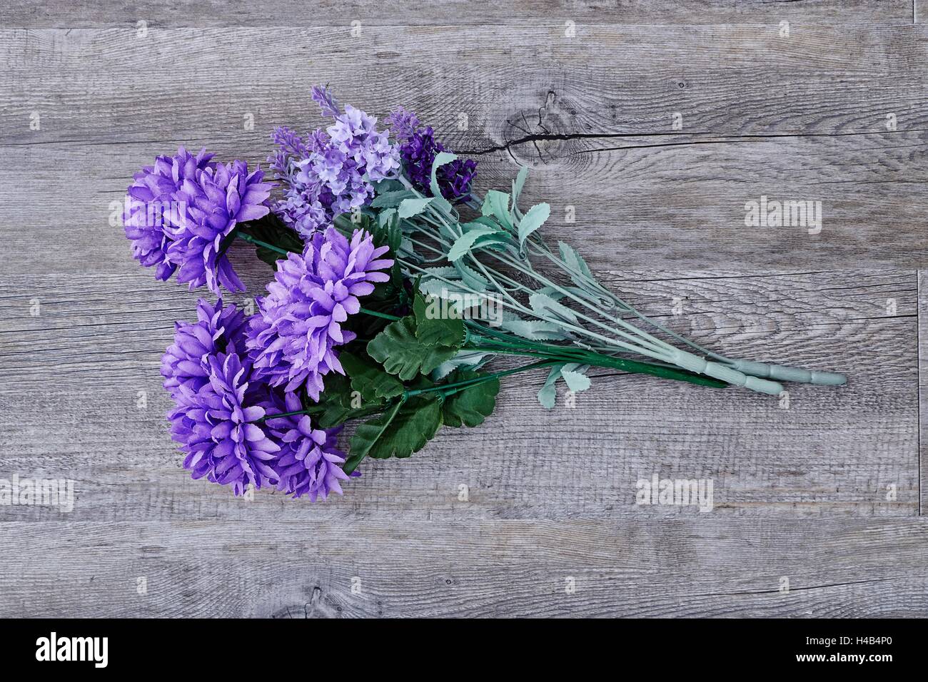 A studio photo of plastic display flowers Stock Photo - Alamy