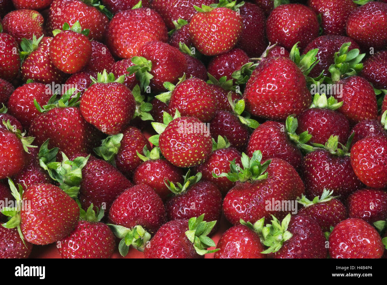 Strawberries, close up Stock Photo - Alamy