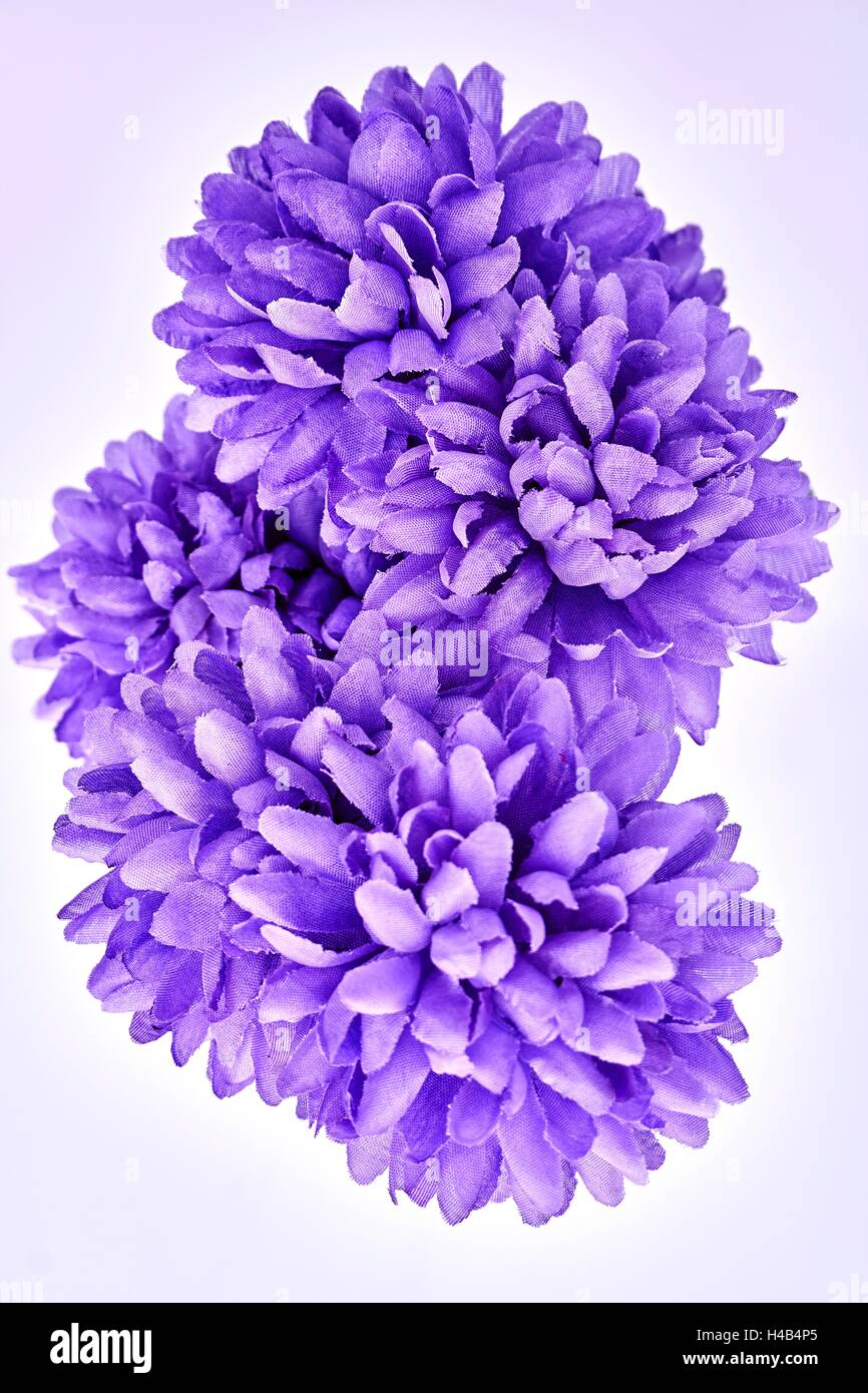 A studio photo of plastic display flowers Stock Photo - Alamy