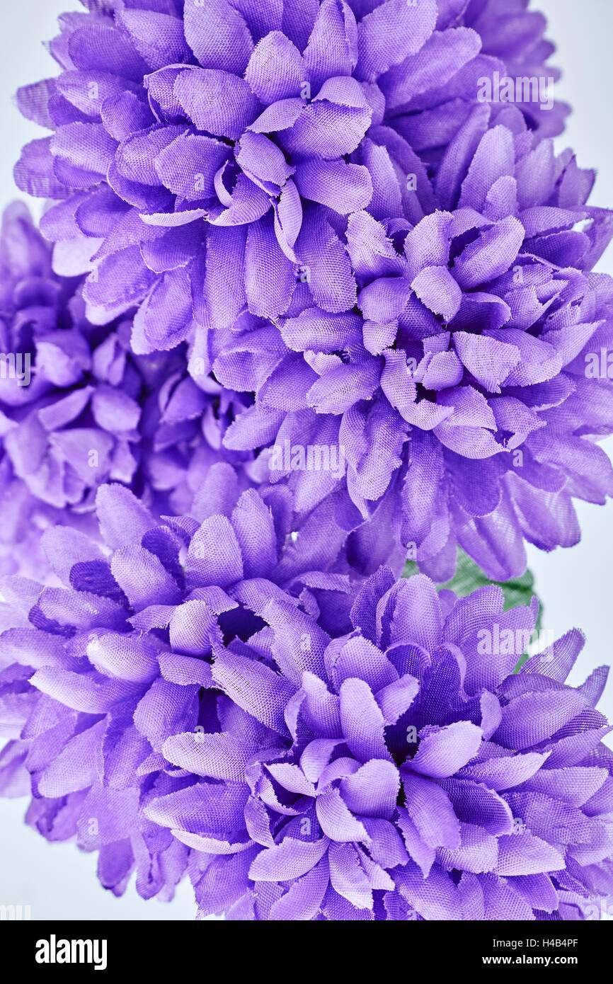 A studio photo of plastic display flowers Stock Photo - Alamy