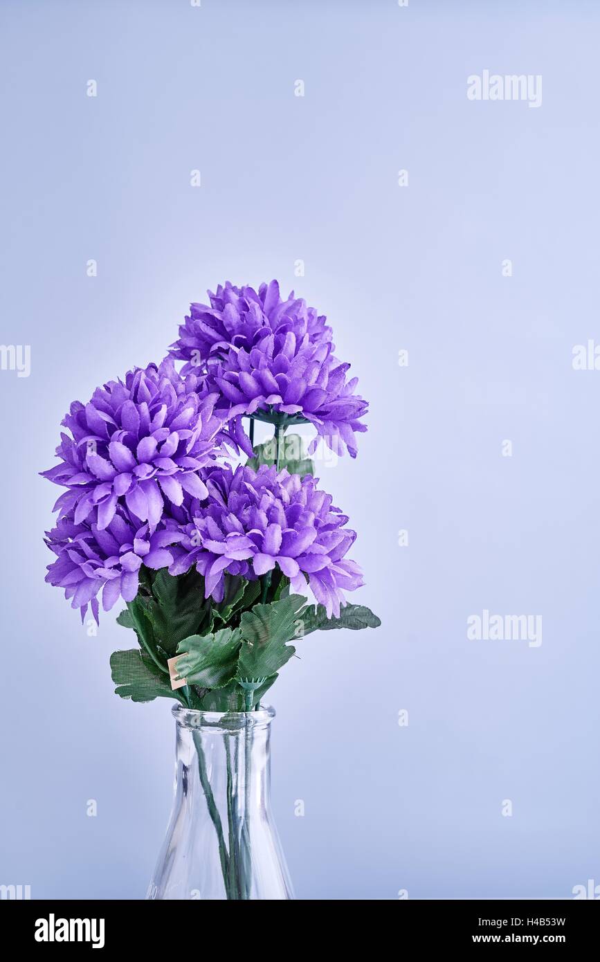 A studio photo of plastic display flowers Stock Photo - Alamy