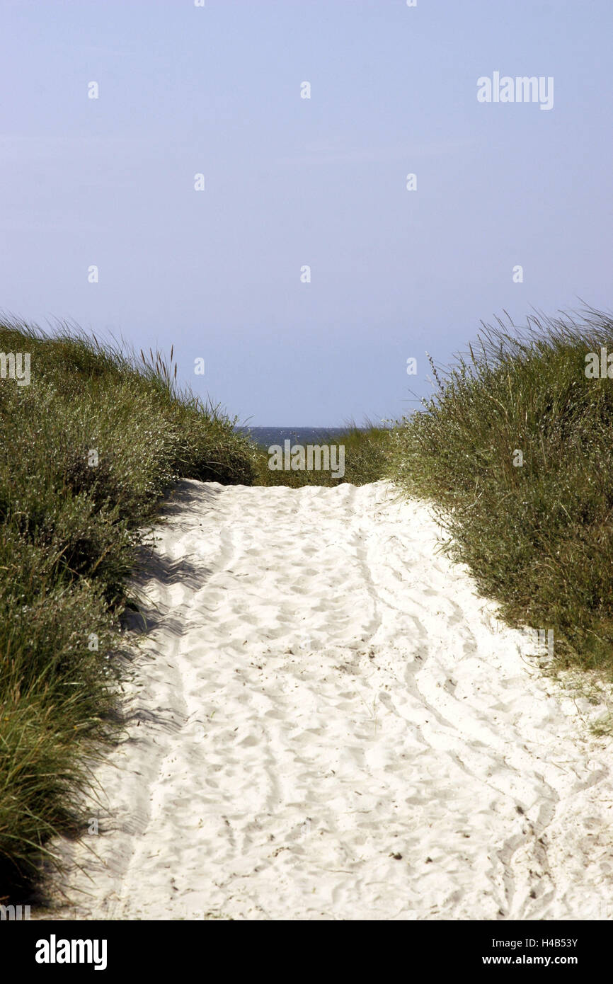 Coast, dunes, path Stock Photo - Alamy