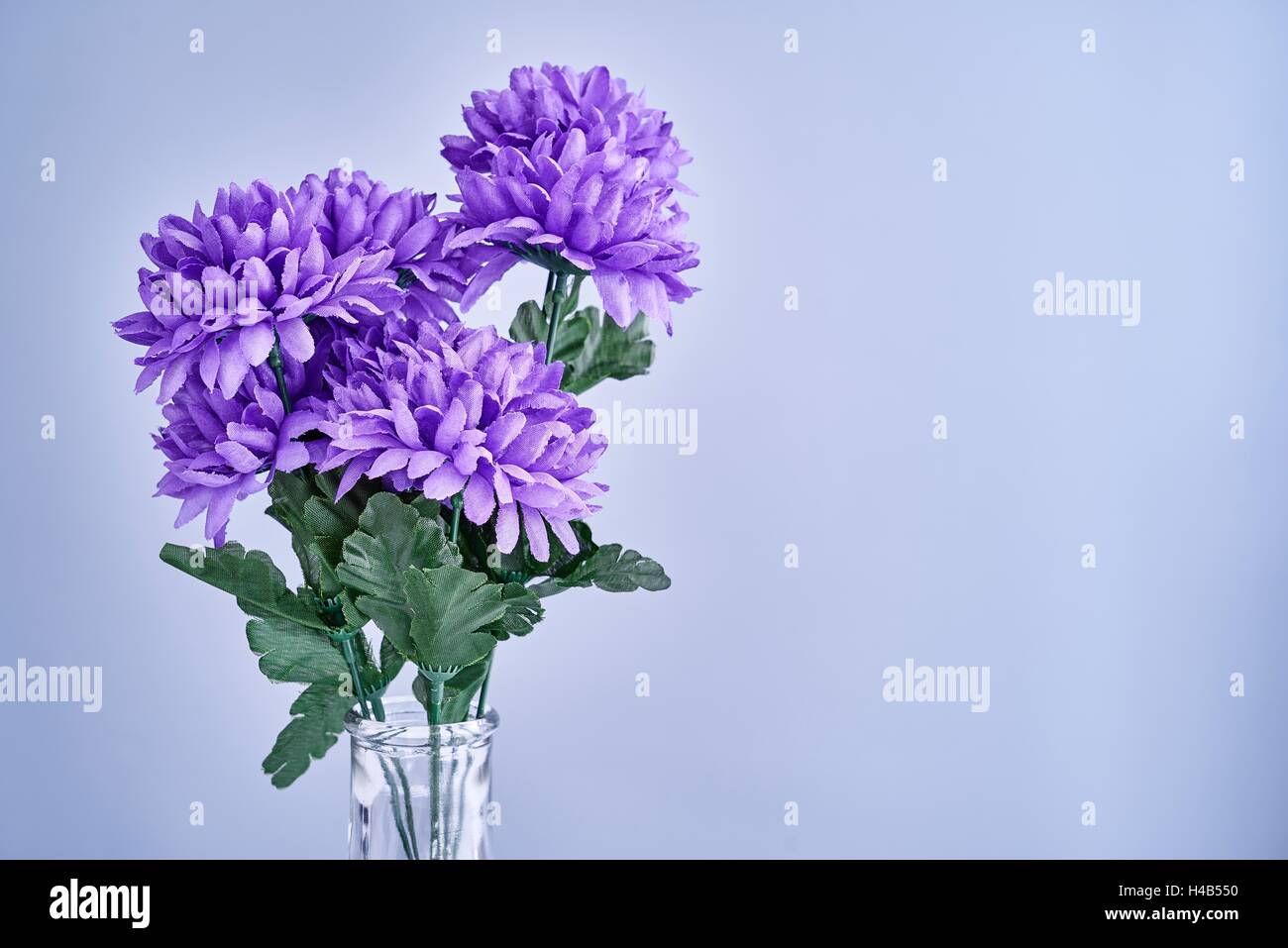 A studio photo of plastic display flowers Stock Photo - Alamy