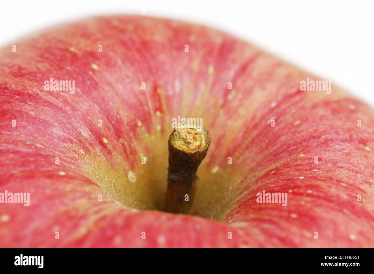 Apple, medium close-up, detail Stock Photo - Alamy