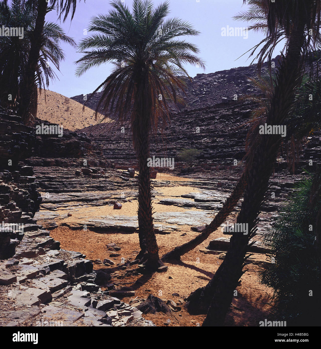 Mauritania, region Adrar, oasis Terjit, Africa, West, Africa, wild ...