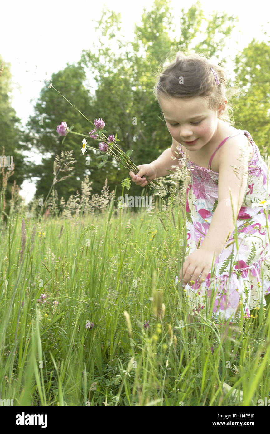 Girls pick hi-res stock photography and images - Alamy