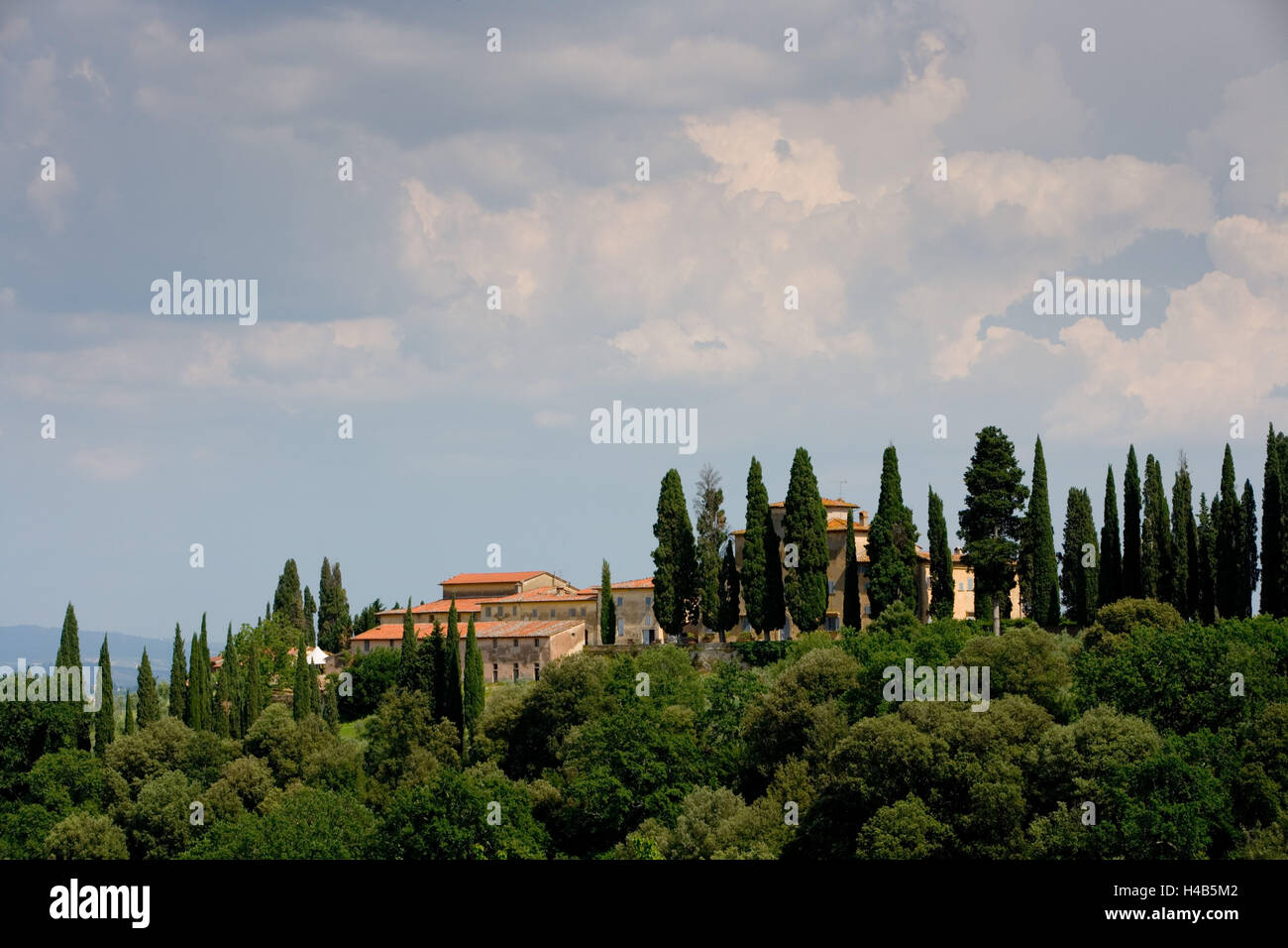 Vineyard pietrafitta hi-res stock photography and images - Alamy