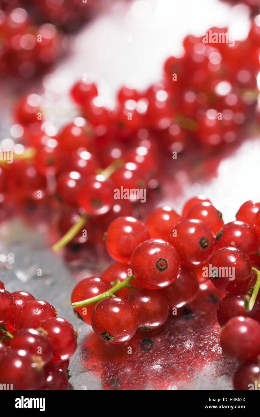 Currants ribes rubrum hi-res stock photography and images - Alamy