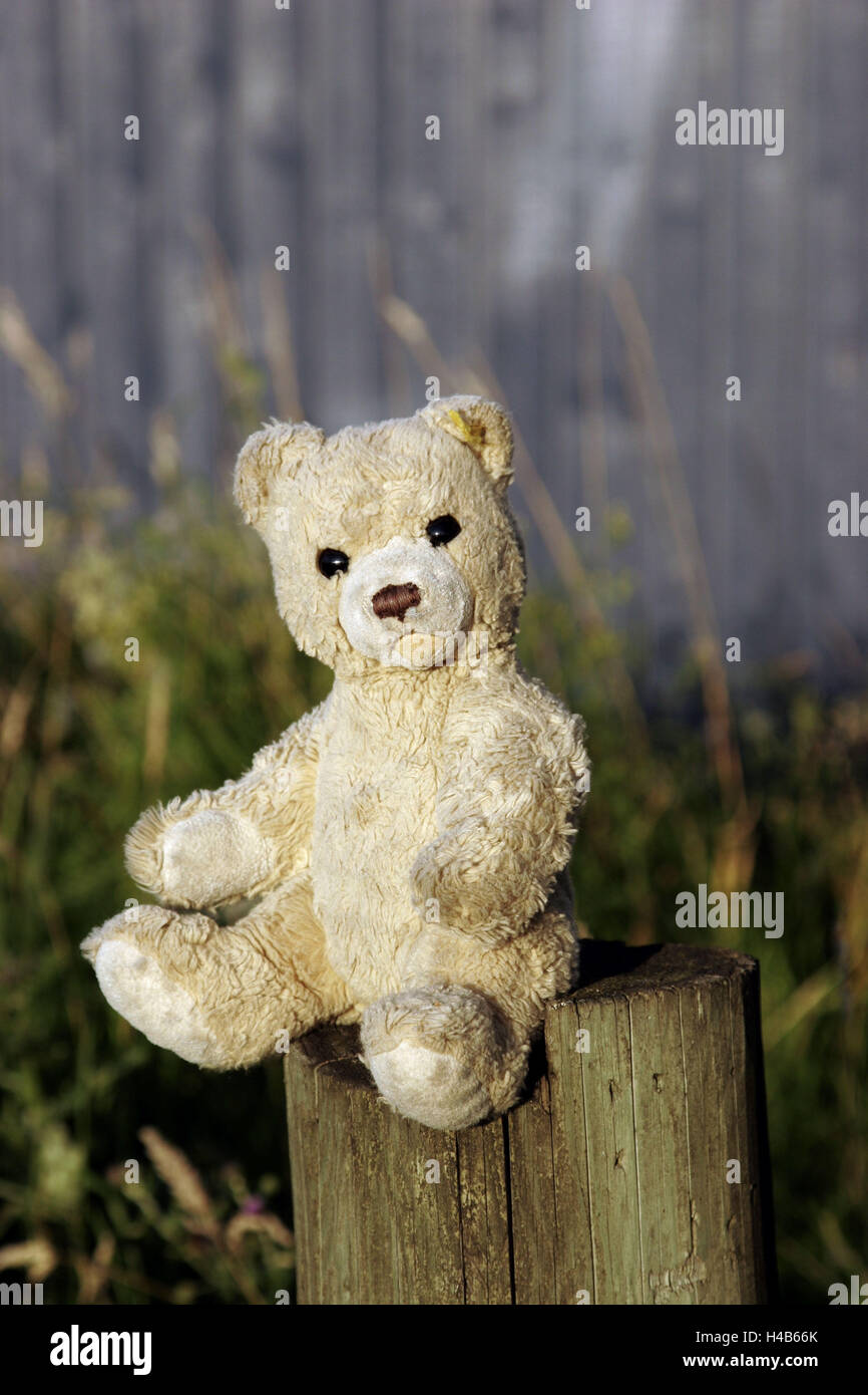 Teddy, wooden pole Stock Photo - Alamy