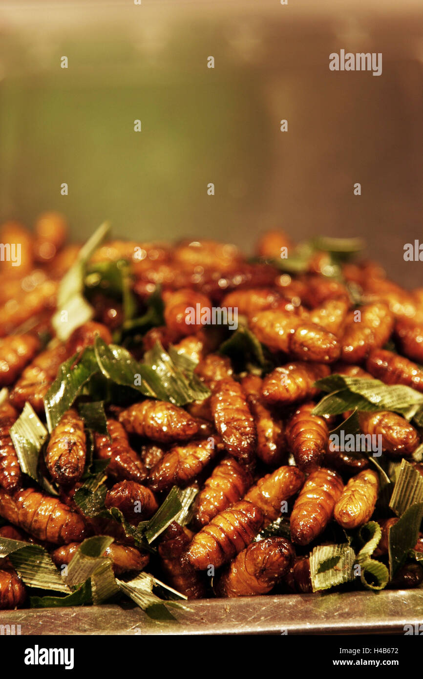 Beetle larvae, roasted, Thailand, speciality Stock Photo - Alamy