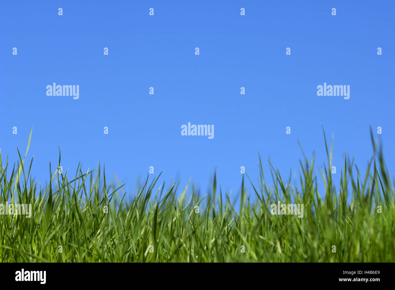 Points to heaven hi-res stock photography and images - Alamy