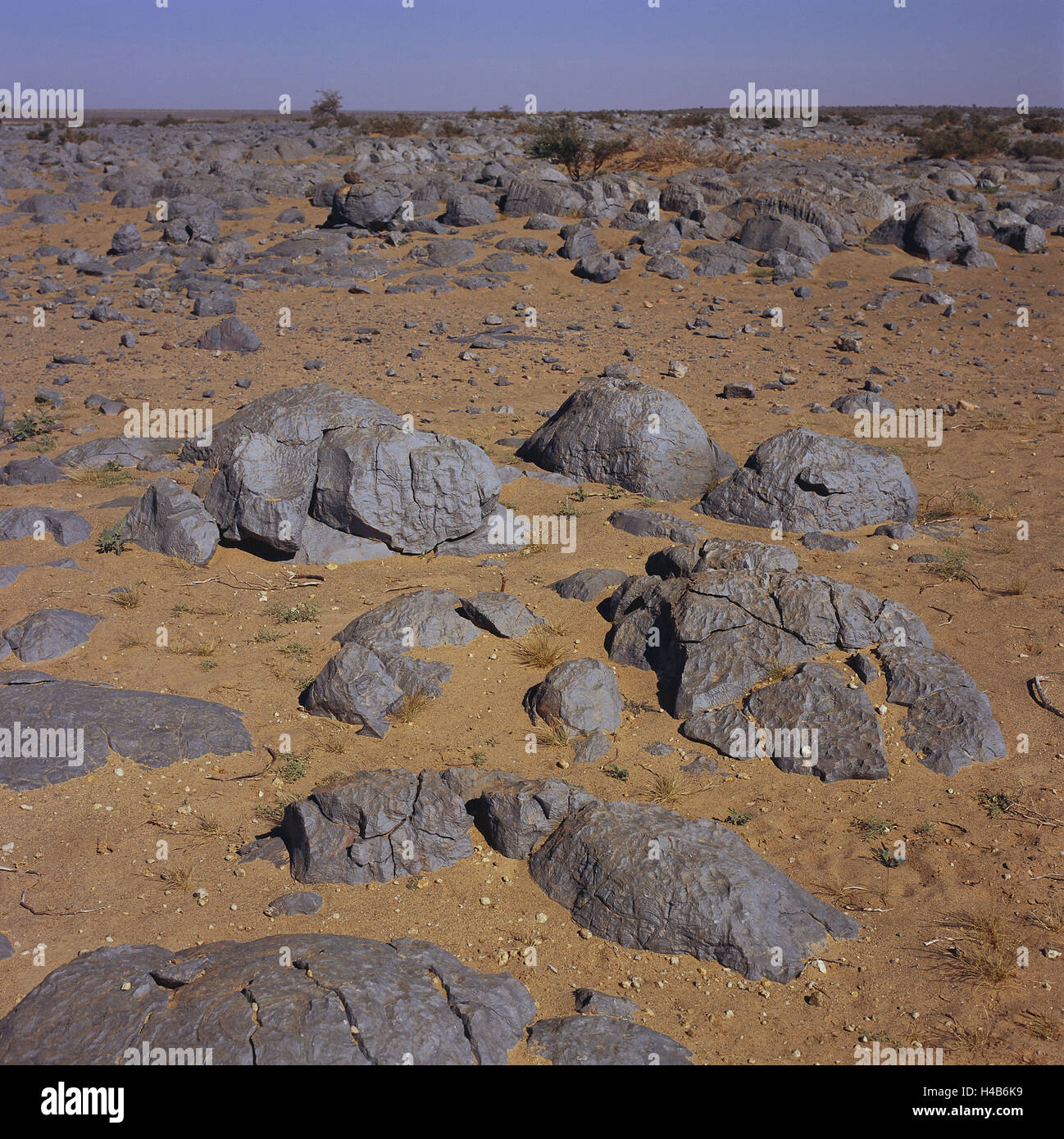Mauritania, region Adrar, close Atar, stone desert, Africa, West ...