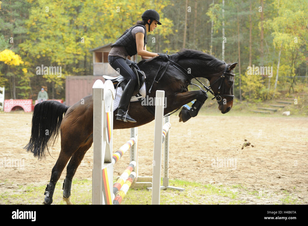 Teenage girl, horse, Bavarian warmblood, riding, side view, jumping ...
