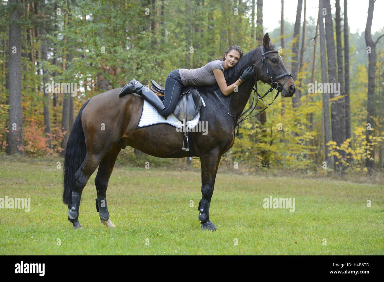 Teenagers girl, horse, Bavarian warm blood, meadow, stand, view camera ...