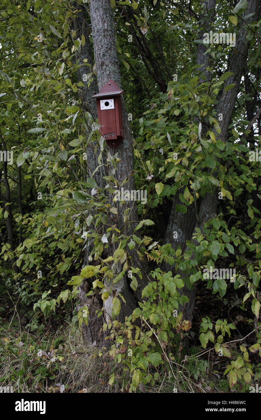 Tree, nesting box Stock Photo - Alamy