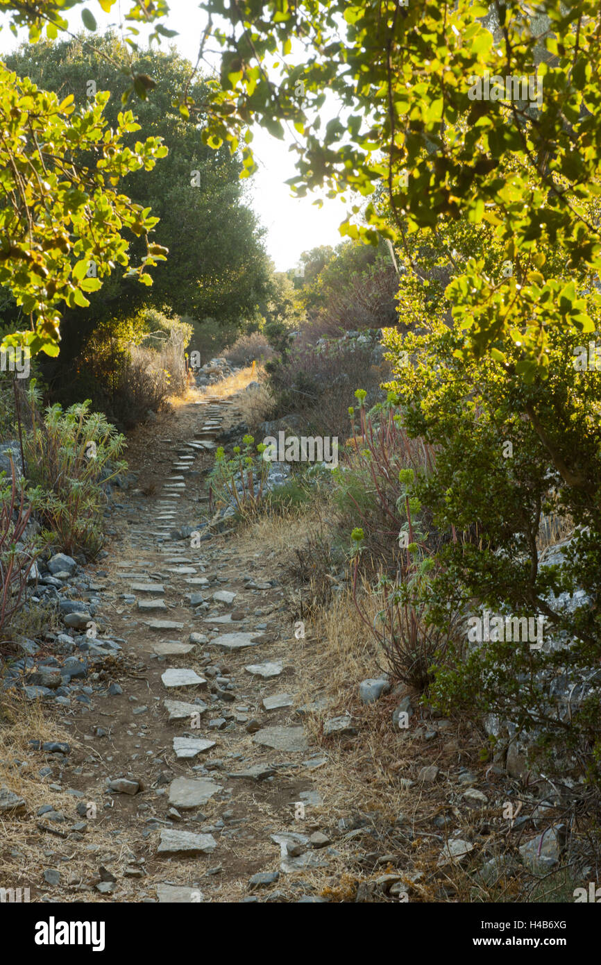 Neapoli crete hi-res stock photography and images - Alamy