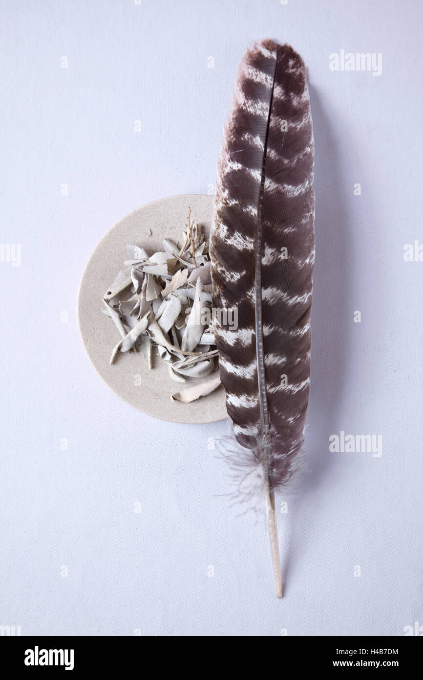 Native American medicine, alternative healing method, incense Stock ...