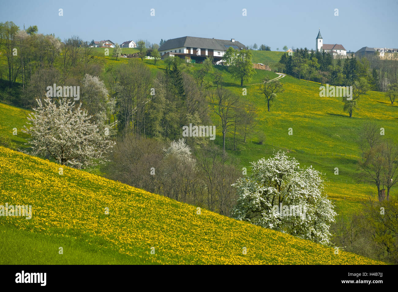 Austria, Lower Austria, fruit juice fourth, scenery with Waidhofen ...