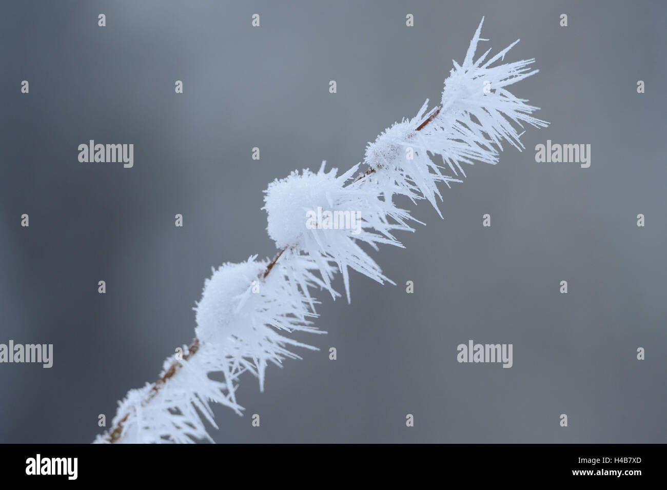Frost, ice-crystals, fork, close up, detail Stock Photo - Alamy