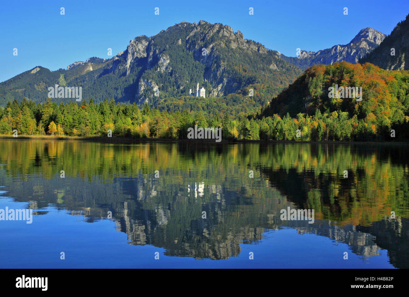 Germany, Bavaria, sunny autumn day, 'Schwansee' (lake) near Füssen ...