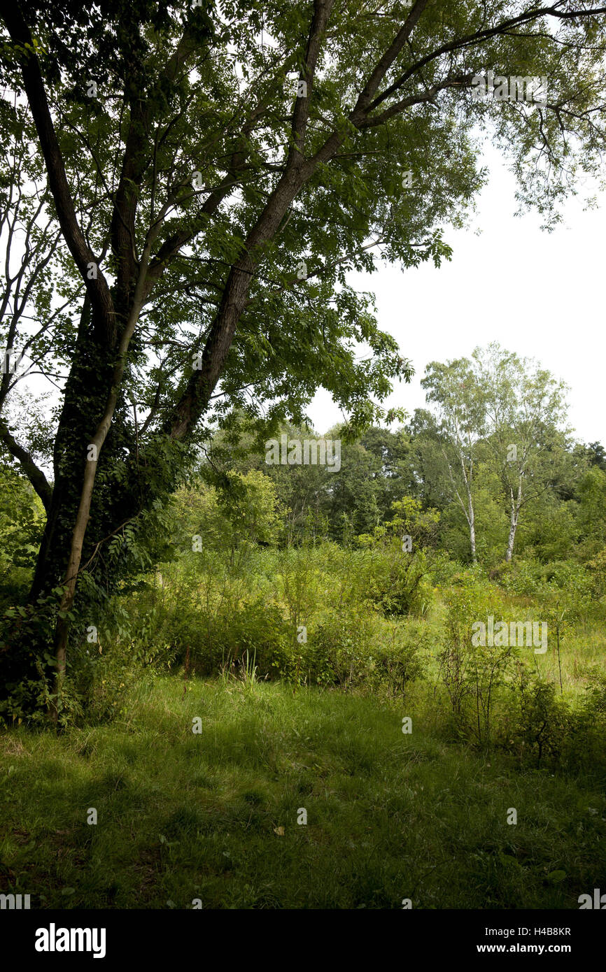 Excessive vegetation hi-res stock photography and images - Alamy