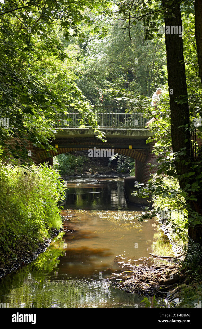 Excessive vegetation hi-res stock photography and images - Alamy