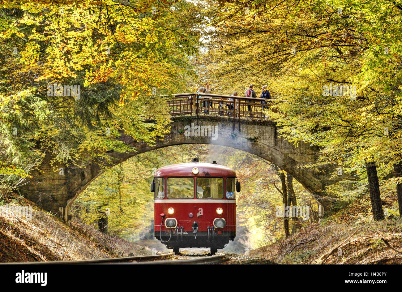 Train passes through a forest, bridge, people, fall, back light ...