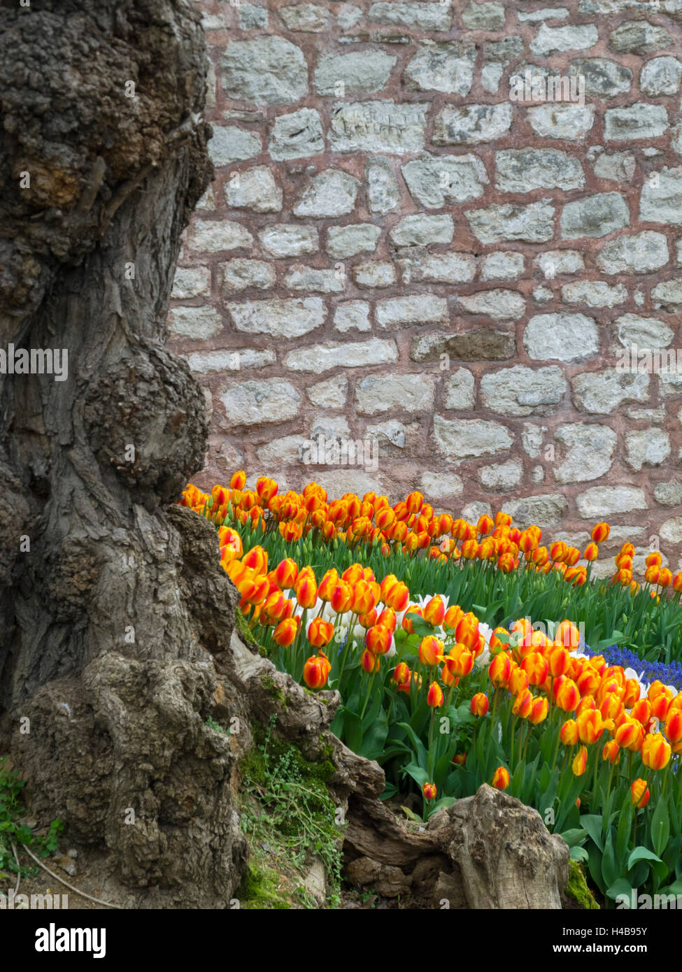 Istanbul In Spring High Resolution Stock Photography and Images - Alamy