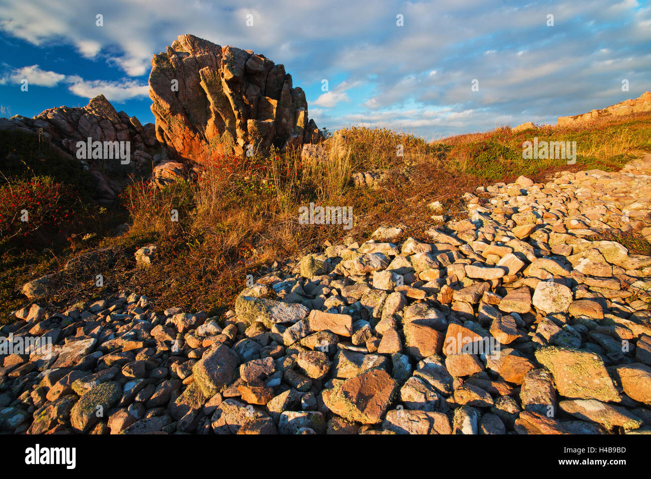 Scenery in the nature conservation reserve Kullen, Scania, South of ...