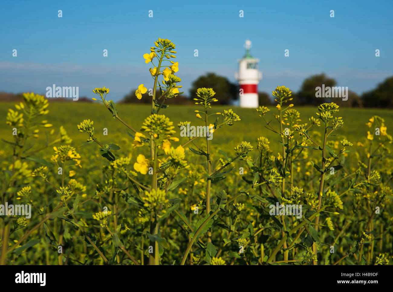 Lighthouse Tranerodde, Alsen Island, Denmark Stock Photo - Alamy
