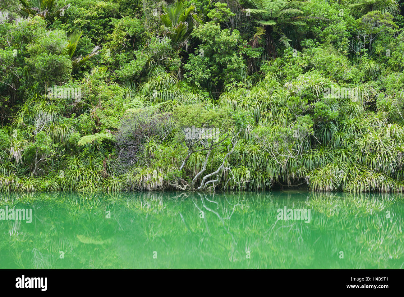 Pororari river hi-res stock photography and images - Alamy