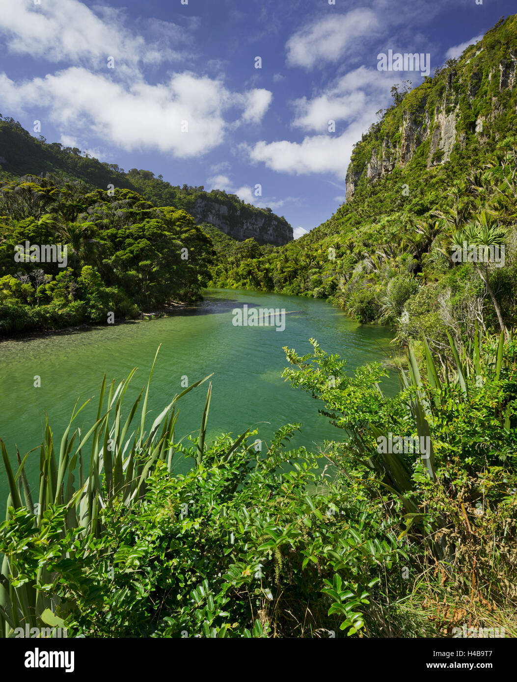 Pororari river hi-res stock photography and images - Alamy