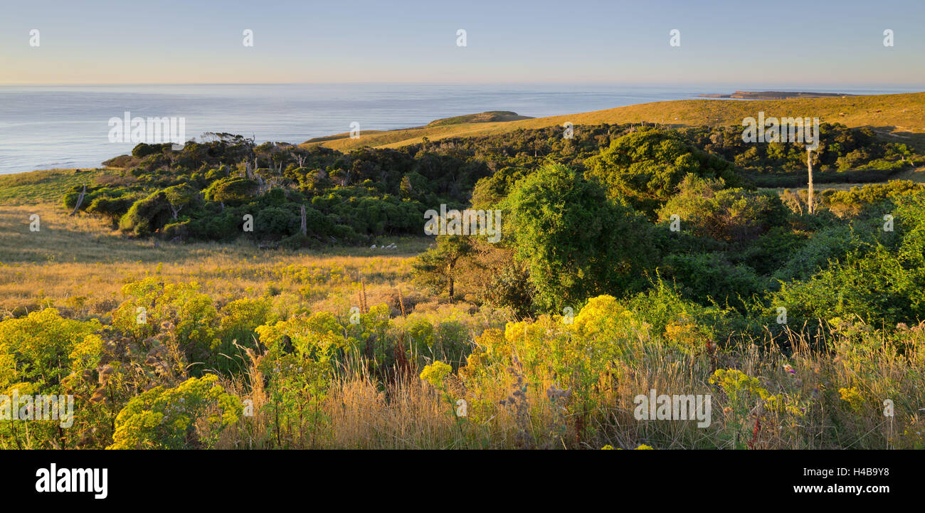 Papatowai hi-res stock photography and images - Alamy