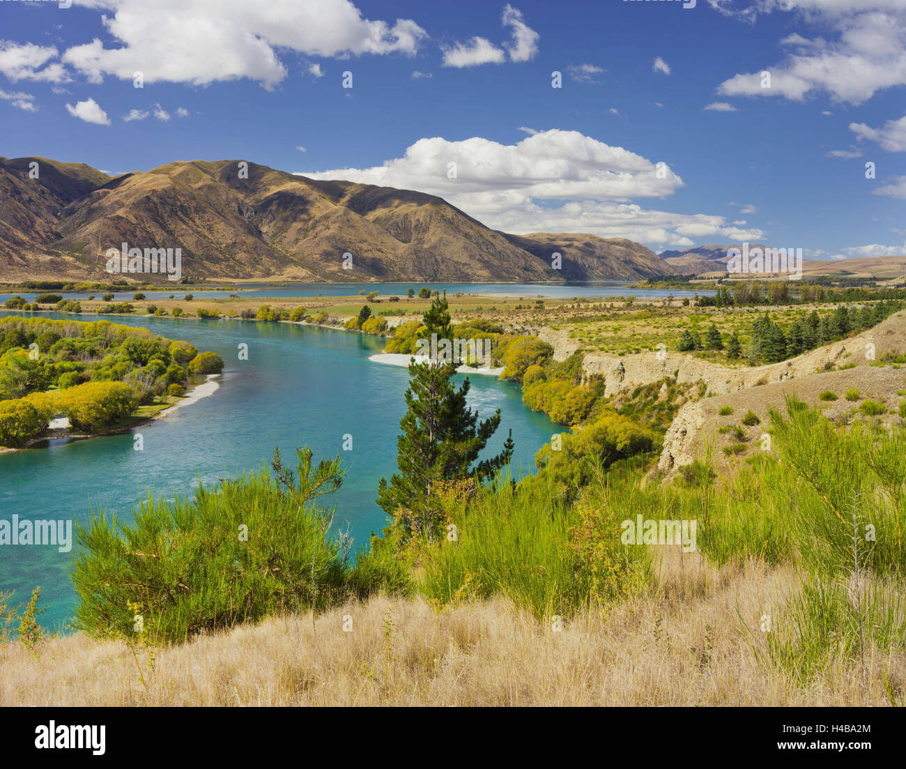Waitaki High Resolution Stock Photography and Images - Alamy