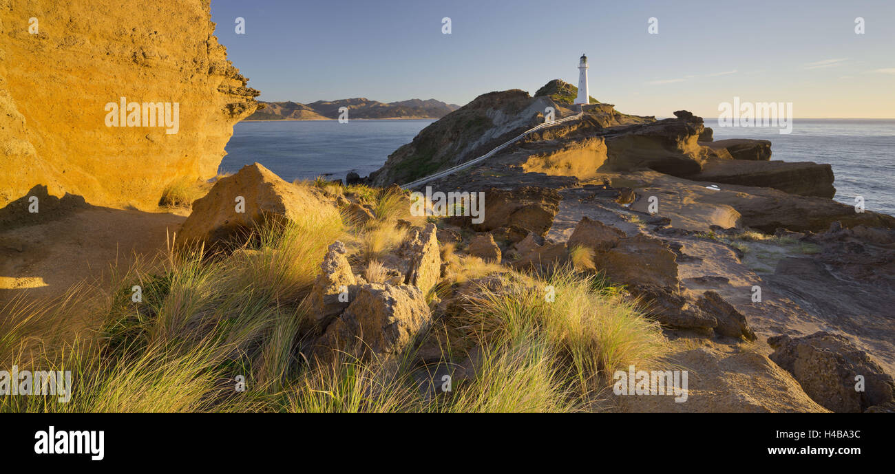 Castle Point lighthouse, Wellington, north Island, New Zealand Stock ...
