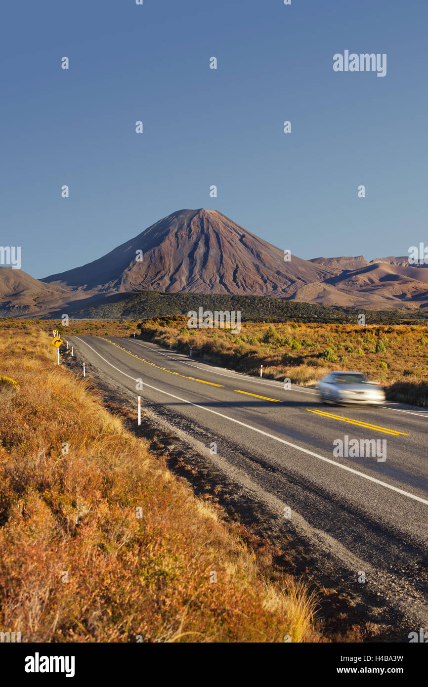 State highway 1 new zealand hi-res stock photography and images - Alamy