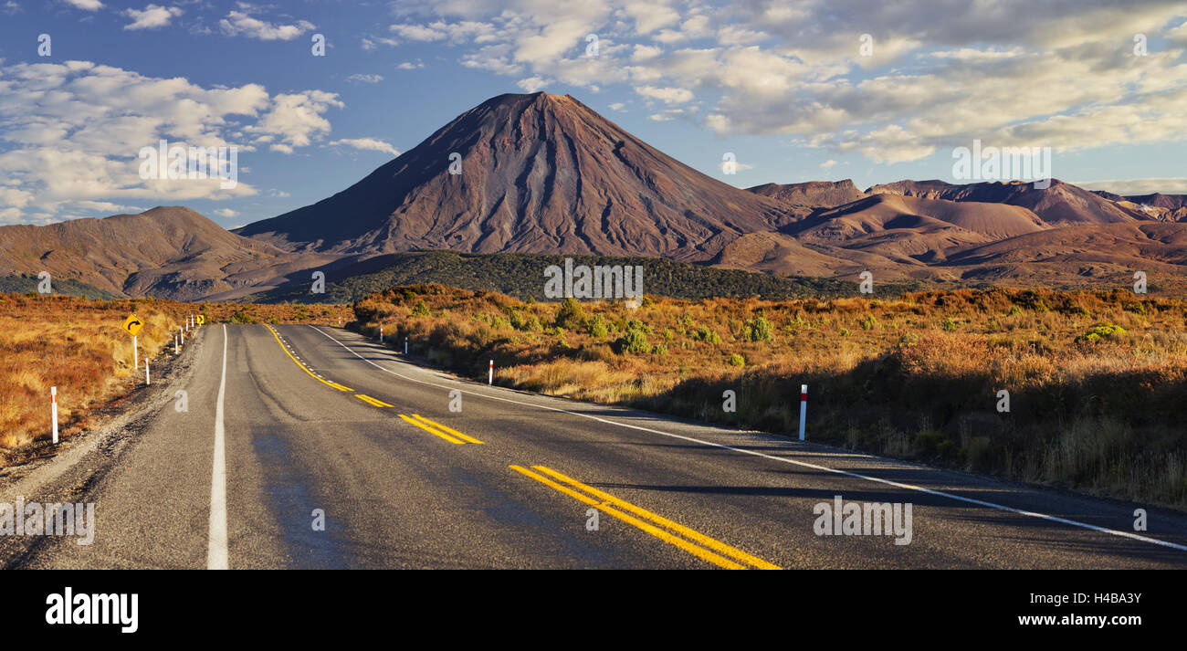 State highway north island new zealand hi-res stock photography and ...