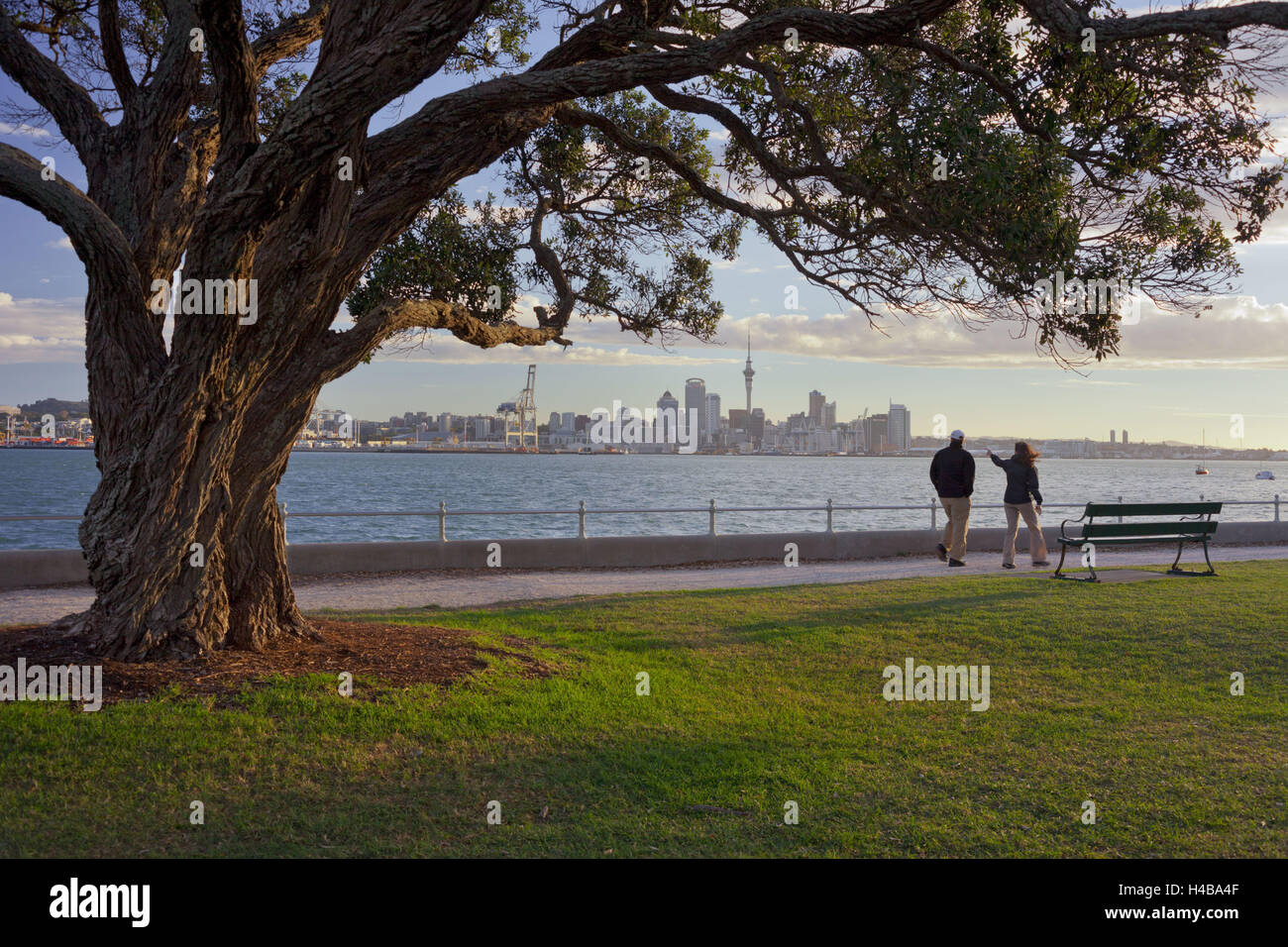 Stanley Bay, bank promenade, couple, walk, bank, tree, skyline of ...