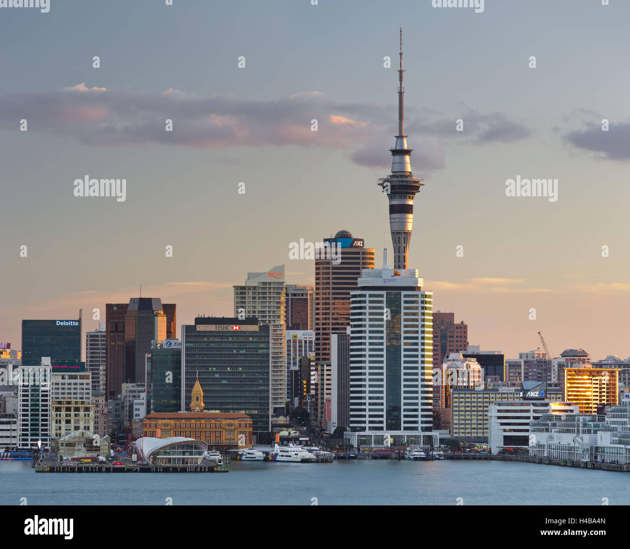 Stanley Bay, skyline of Auckland, north Island, New Zealand Stock Photo ...