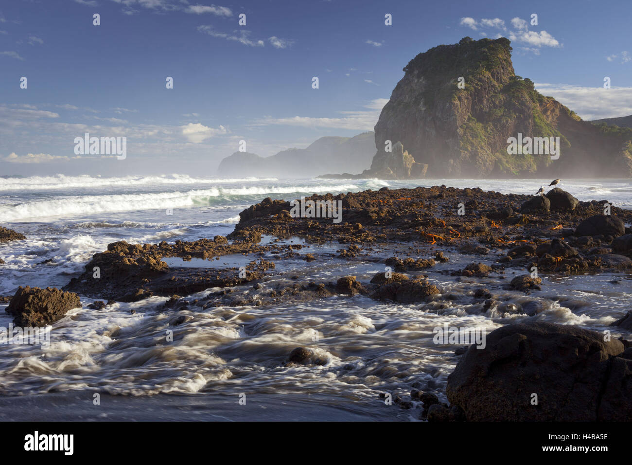 Auckland rock hi-res stock photography and images - Alamy