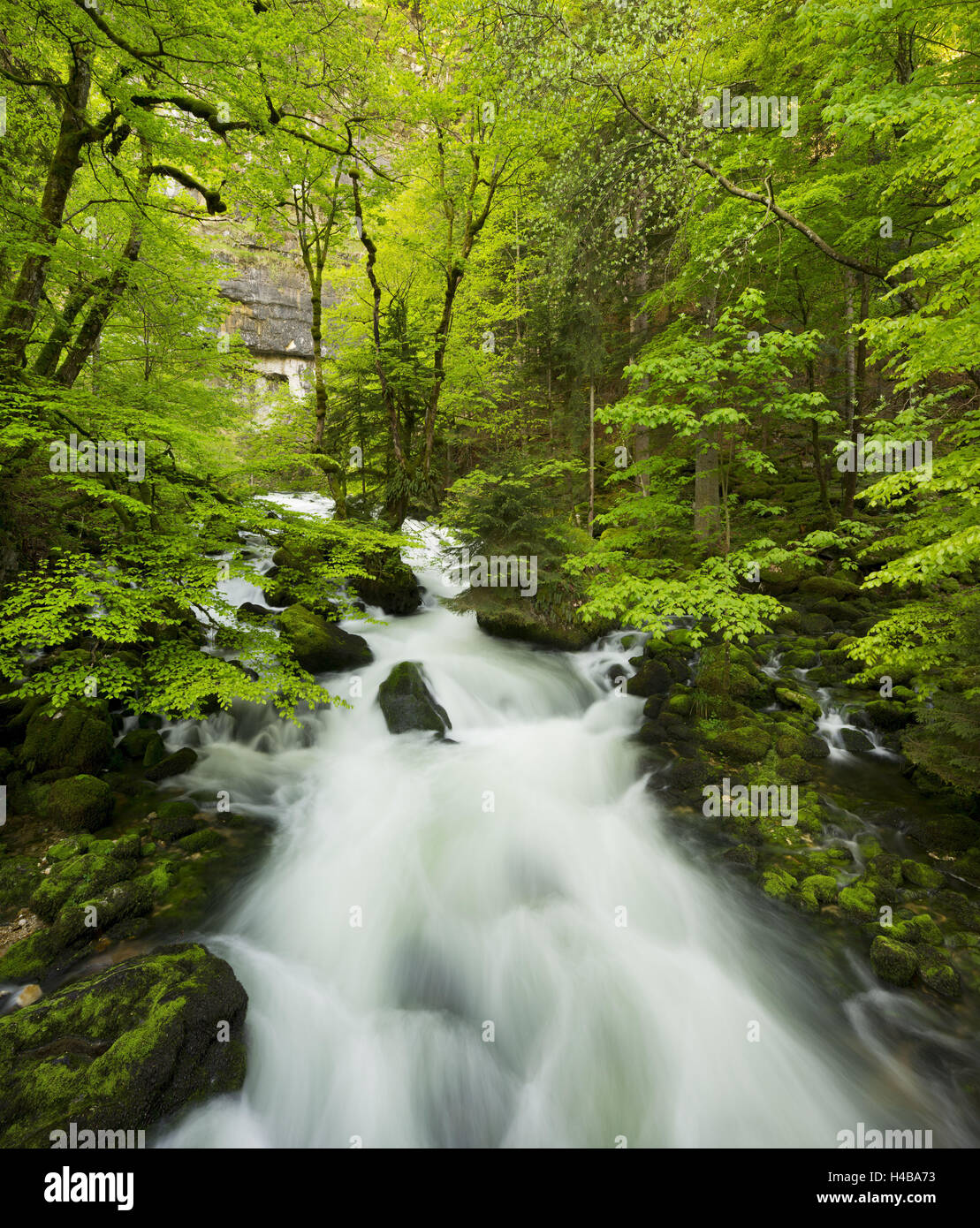 Orbe Vaud Switzerland High Resolution Stock Photography and Images - Alamy