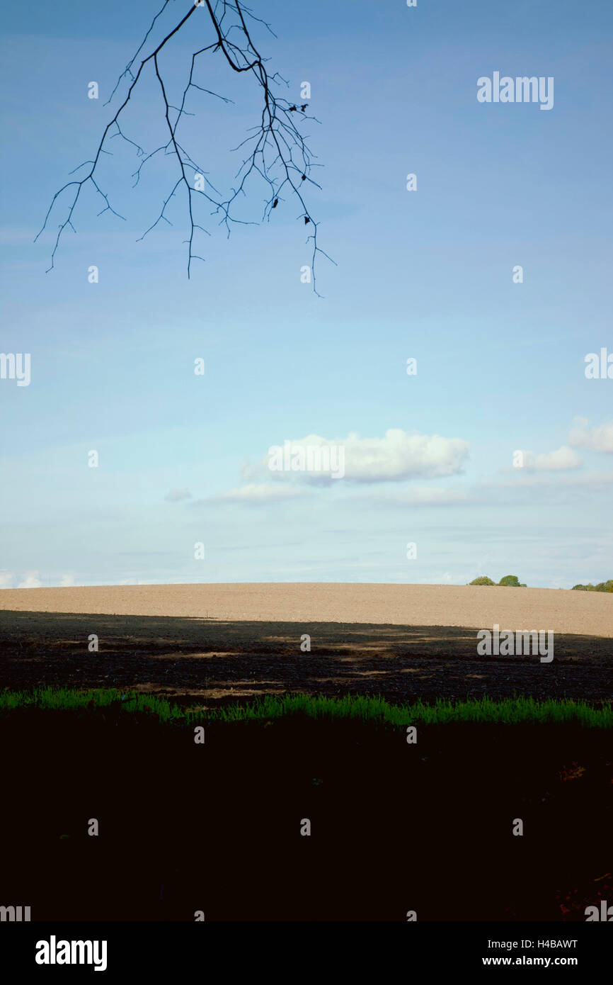 Field, agriculture, landscape, harvested, cropland Stock Photo - Alamy
