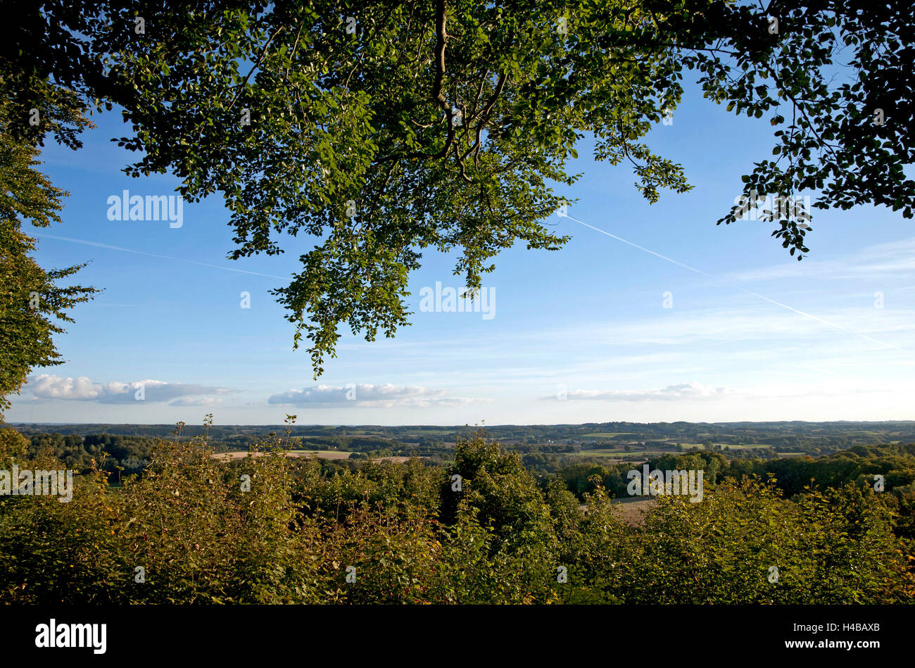 Panorama, view, landscape, trees Stock Photo - Alamy